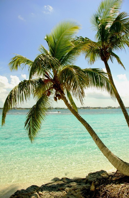 What is the Capital of Bahamas? Nassau – Countryaah.com