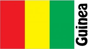 Guinea Facts – Countryaah.com