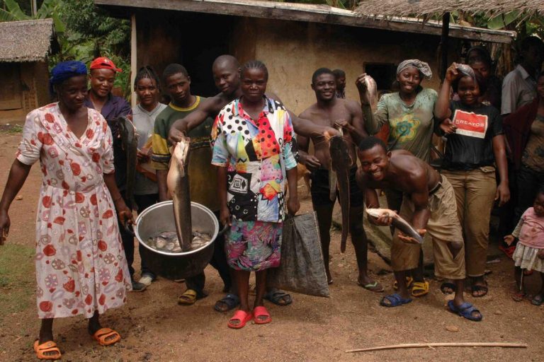 Cameroon Population – Countryaah.com