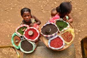 Madagascar Population – Countryaah.com