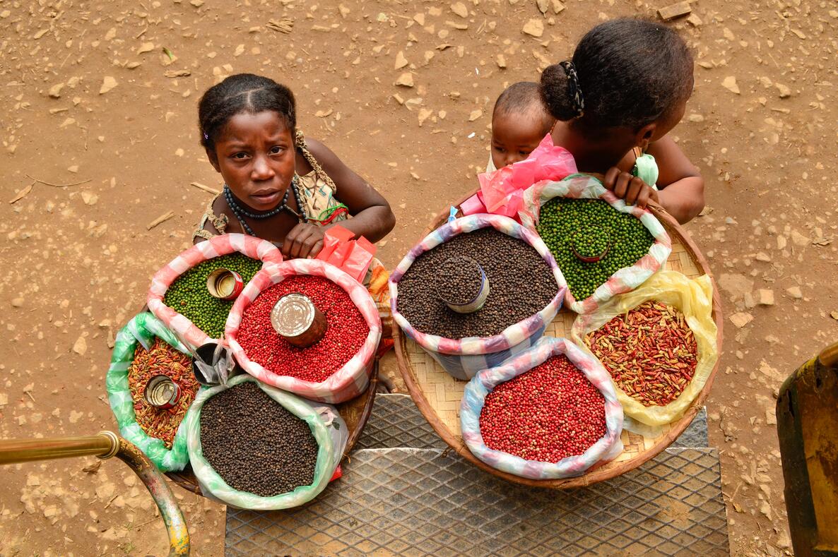 Madagascar Population – Countryaah.com