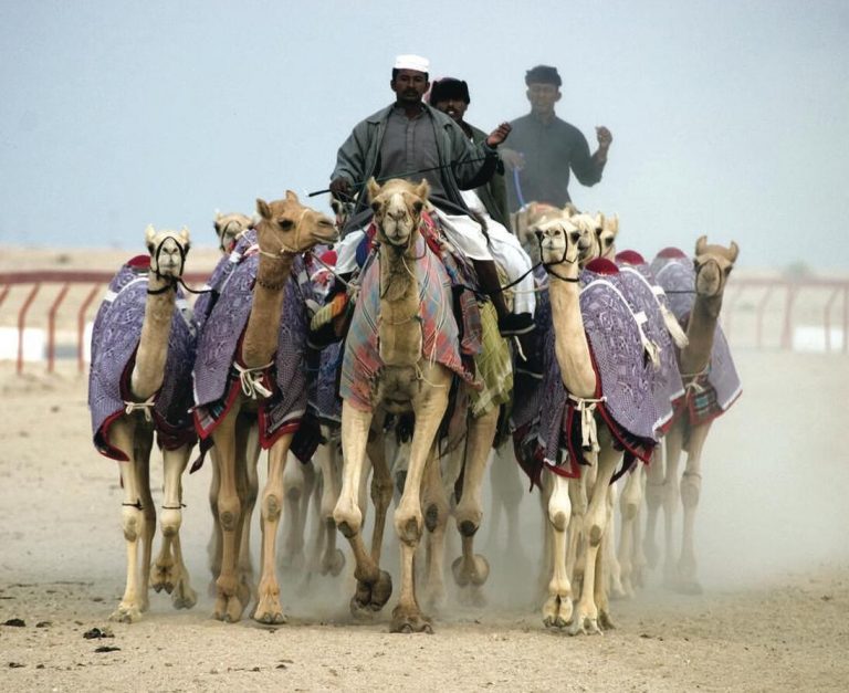 Qatar Population – Countryaah.com