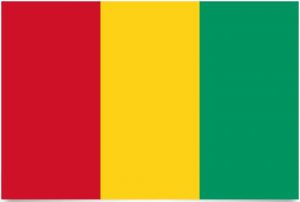 Guinea Flag and Meaning – Countryaah.com